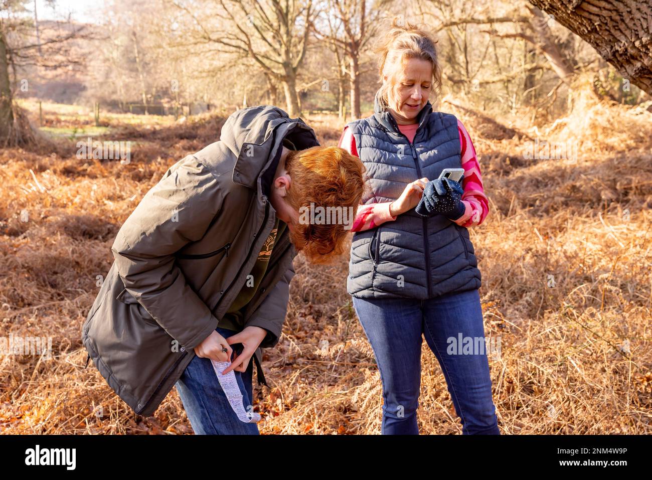 Kelling Heath Holiday Park, North Norfolk, Holt, England UK Stock Photo ...