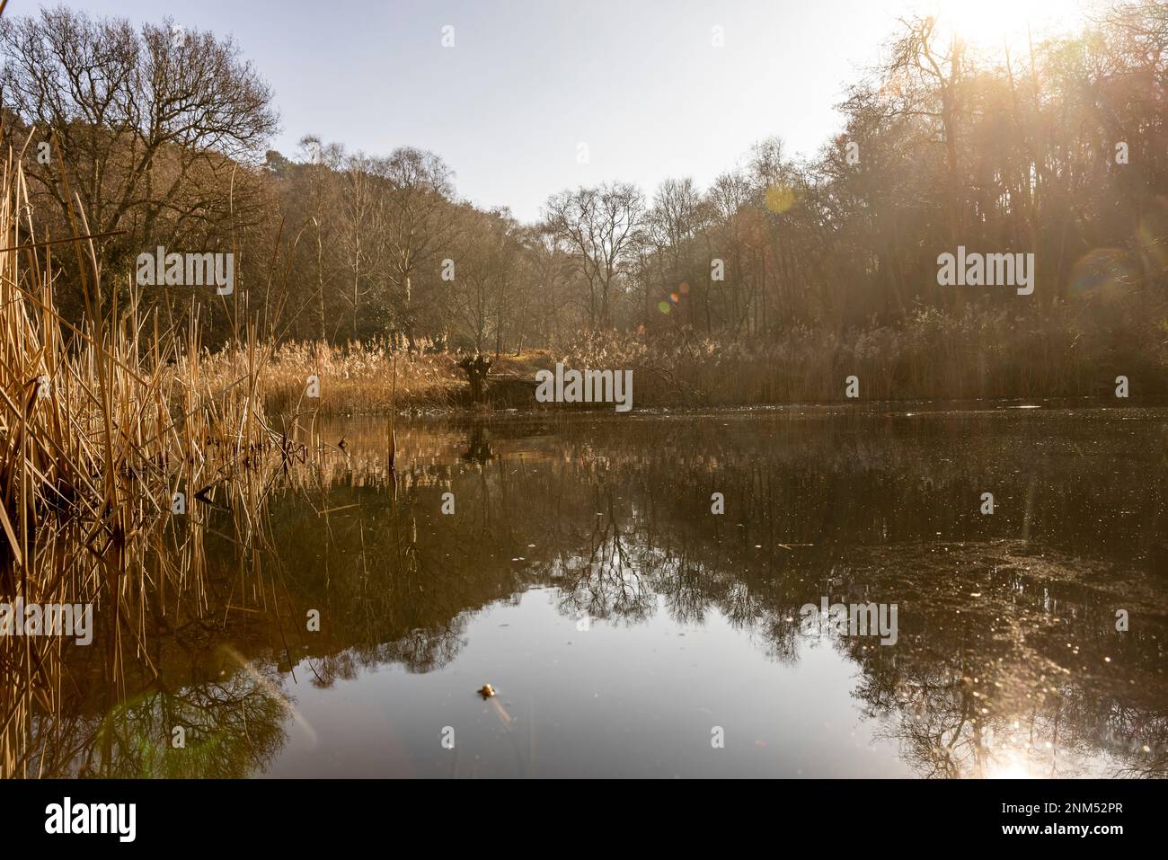 Kelling Heath Holiday Park, North Norfolk, Holt, England UK Stock Photo ...