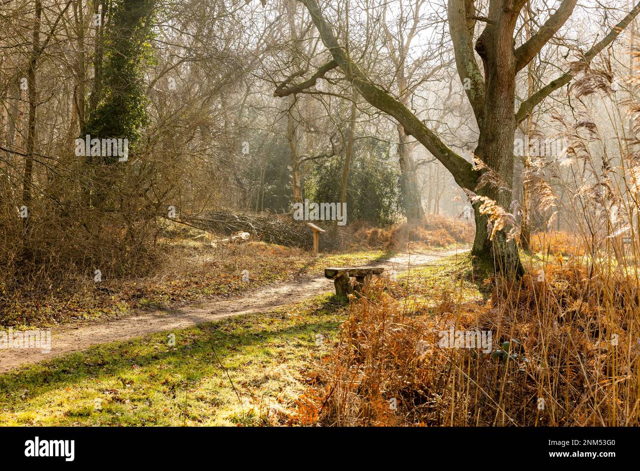 Kelling heath park halt hi-res stock photography and images - Alamy