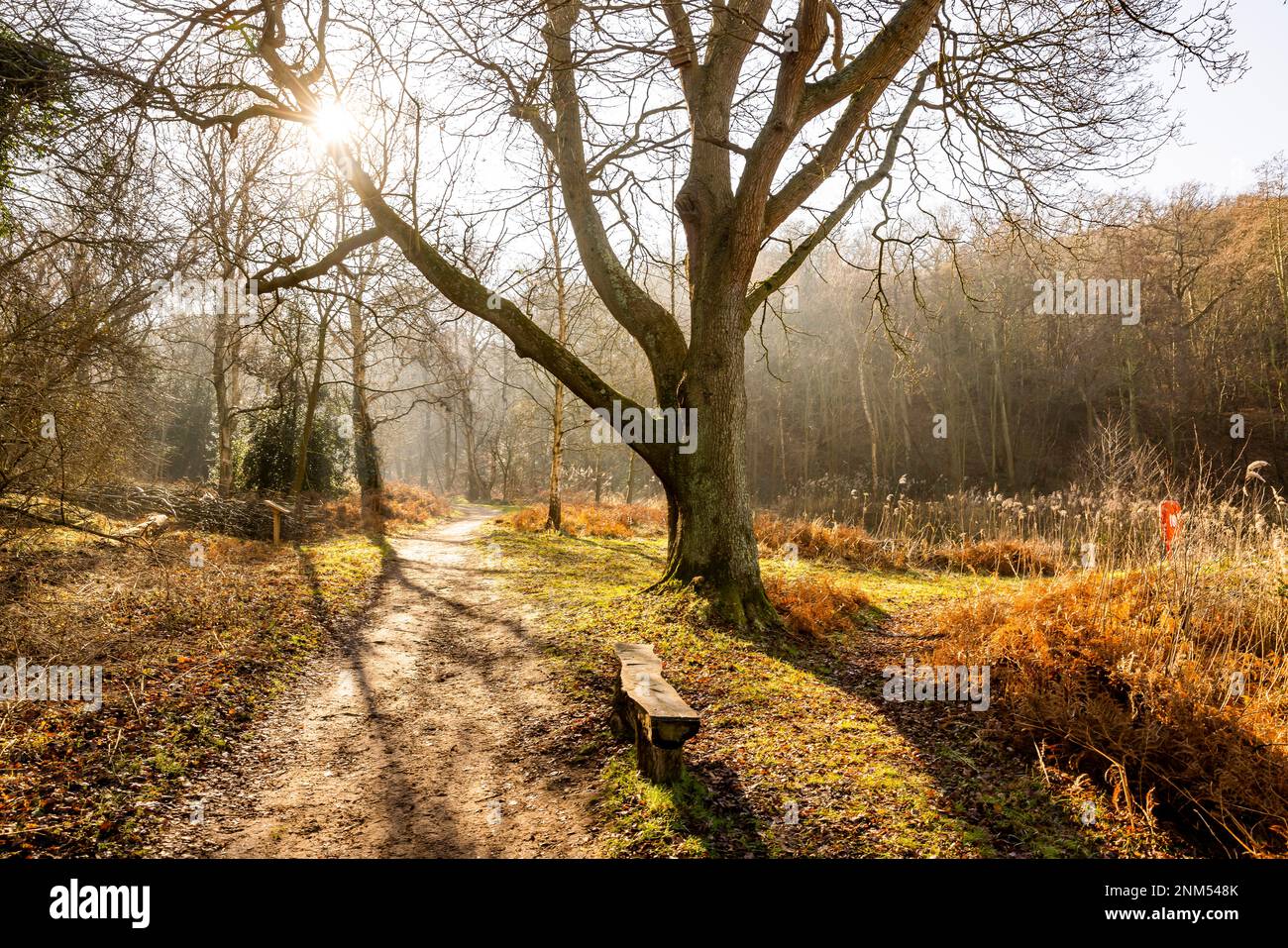 Kelling Heath Holiday Park, North Norfolk, Holt, England UK Stock Photo ...