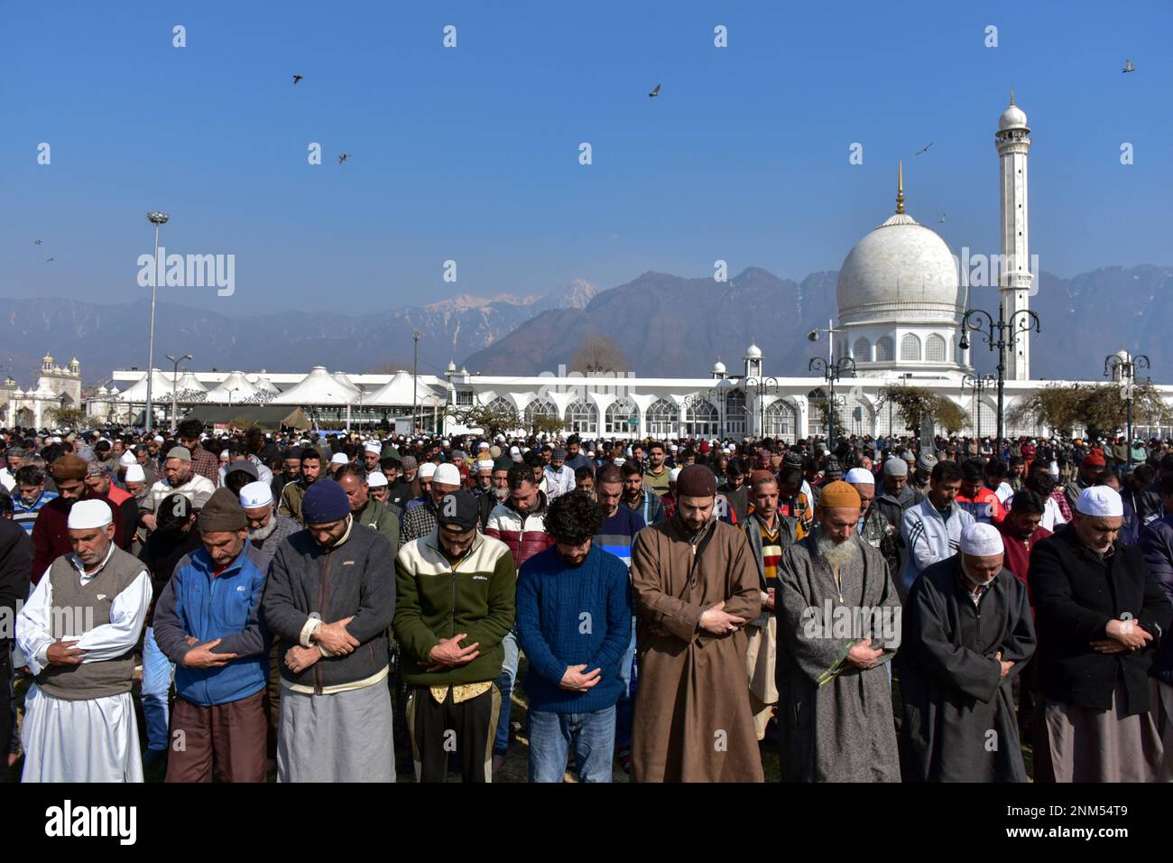 Srinagar, India. 24th Feb, 2023. Kashmiri Muslim devotees offer noon ...