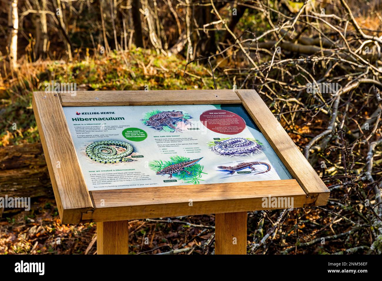 Kelling Heath Holiday Park, North Norfolk, Holt, England UK Stock Photo ...