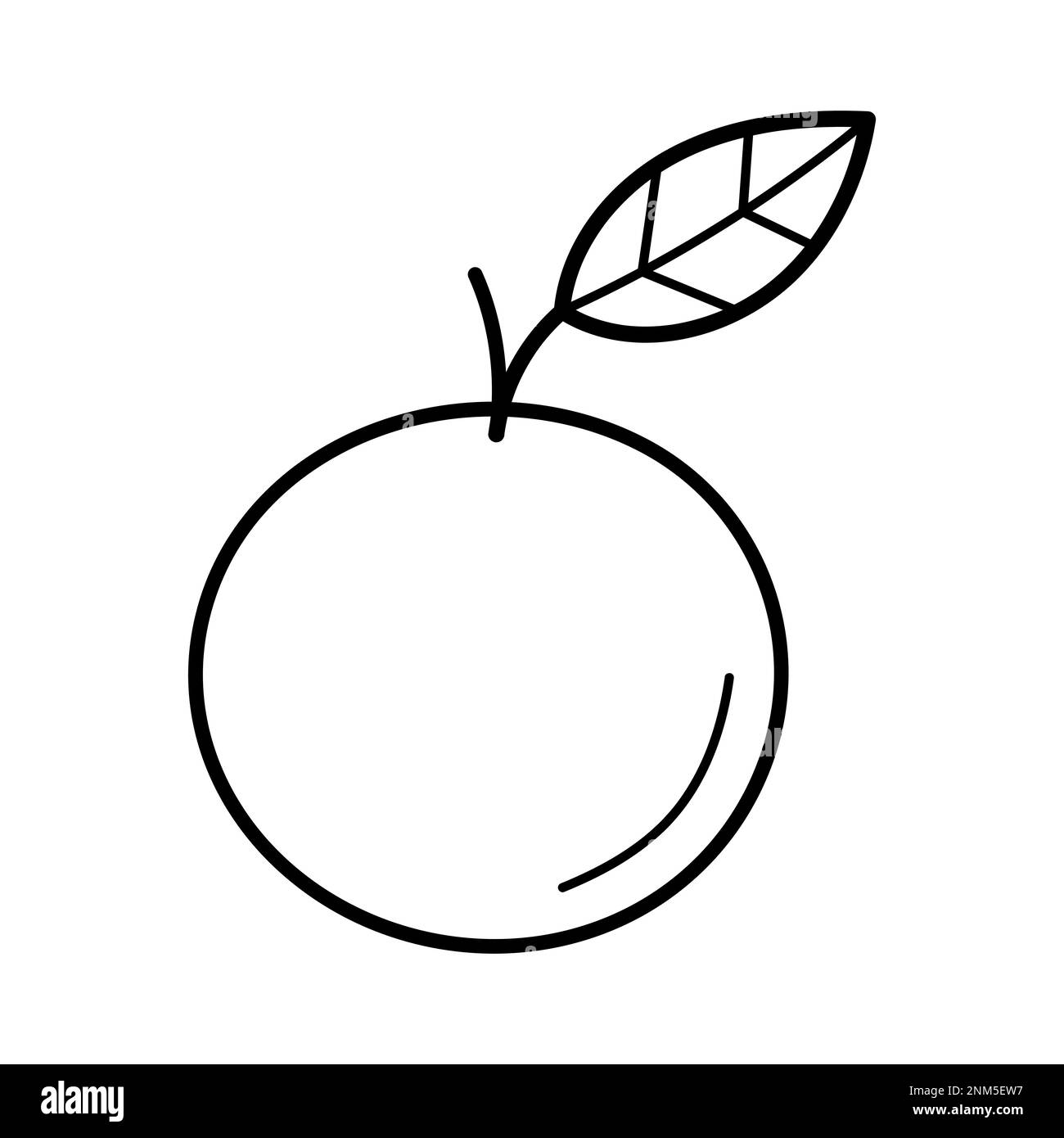 Orange. Hand drawn sketch icon of citrus fruit. Isolated vector ...