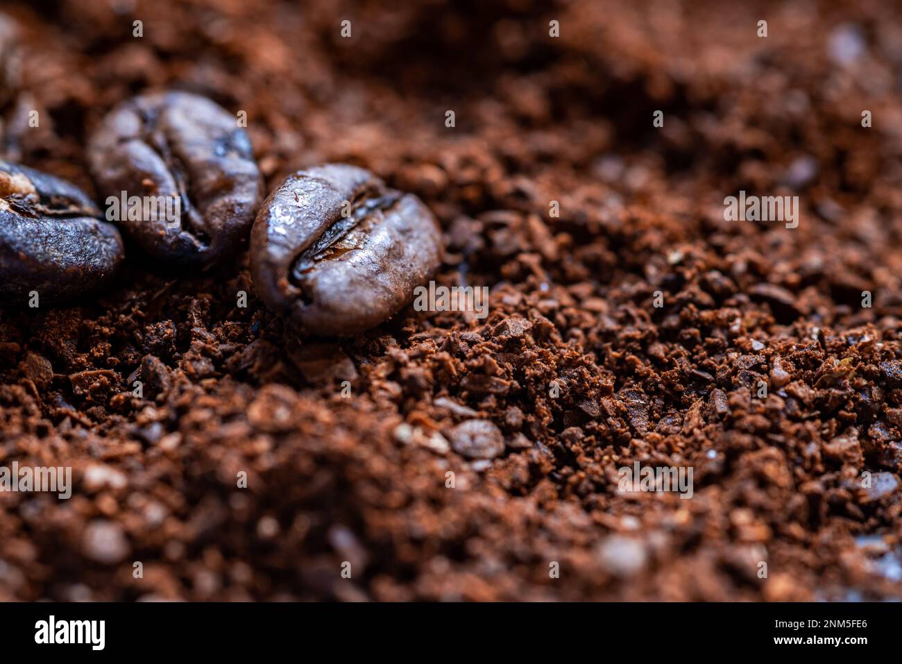 Coffee powder hi-res stock photography and images - Alamy