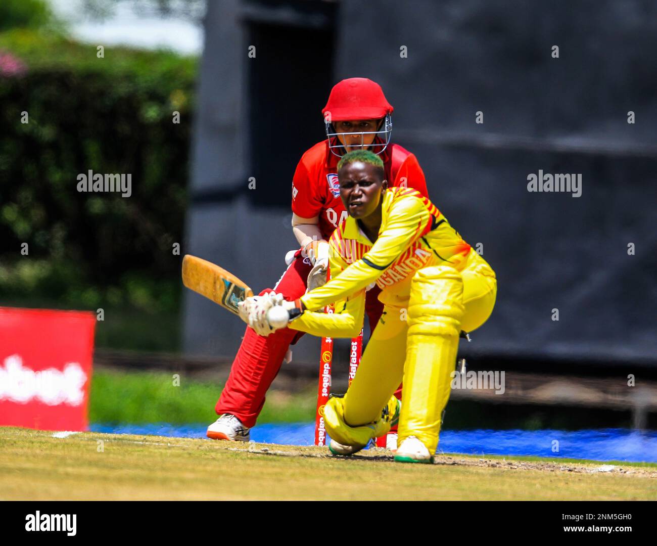 Tanzania cricket hi-res stock photography and images - Alamy