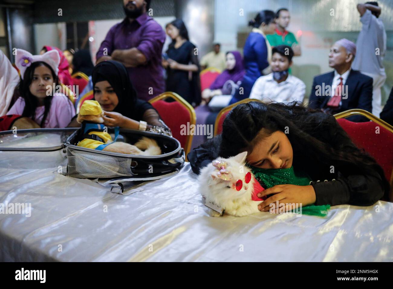 Dhaka, Bangladesh. 24th Feb, 2023. A cat ramp show was held at Jamuna ...