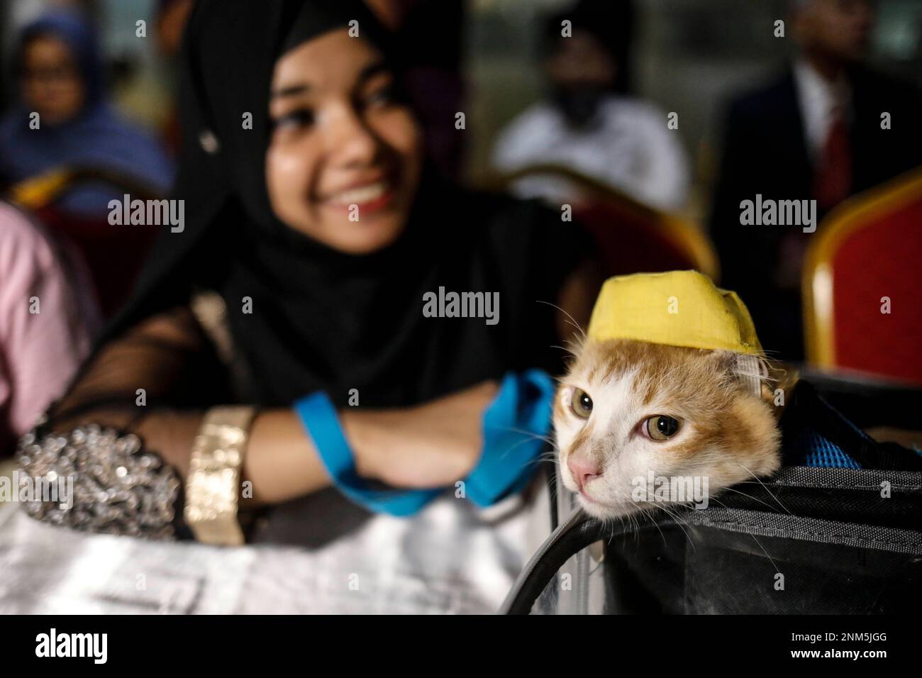 Dhaka, Bangladesh. 24th Feb, 2023. A cat ramp show was held at Jamuna ...