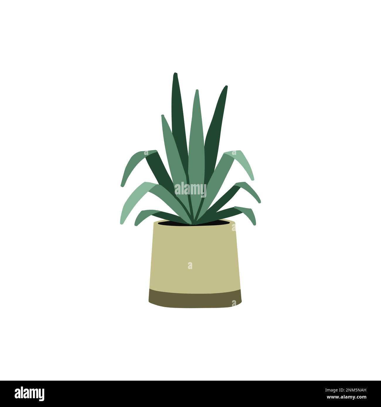 Potted plant. Houseplants in flower pot. Vector bundle of trendy plants ...