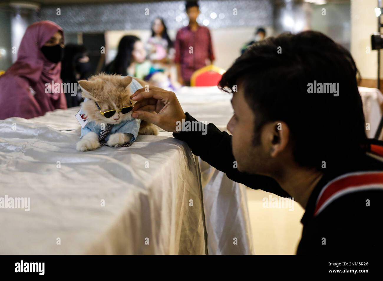Dhaka, Bangladesh. 24th Feb, 2023. A cat ramp show was held at Jamuna ...