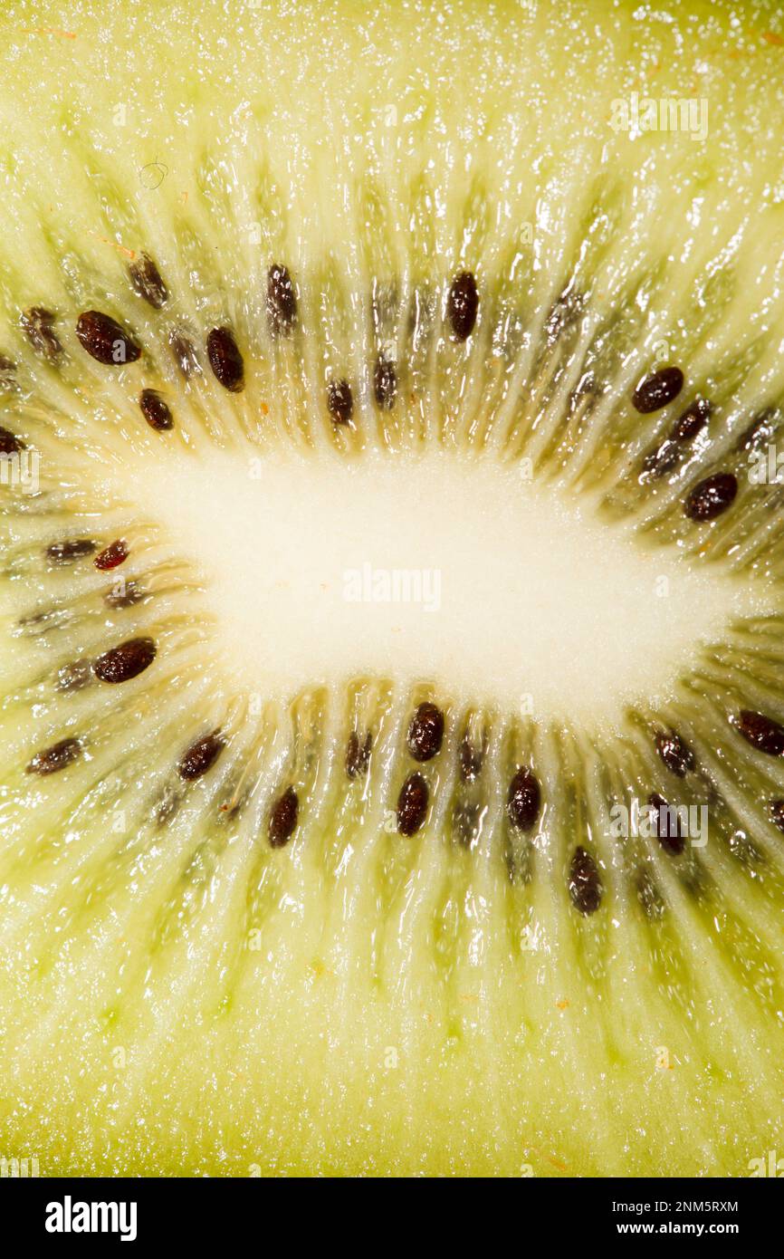Kiwi, cross-section of fruit with black seeds visible. Green background ...