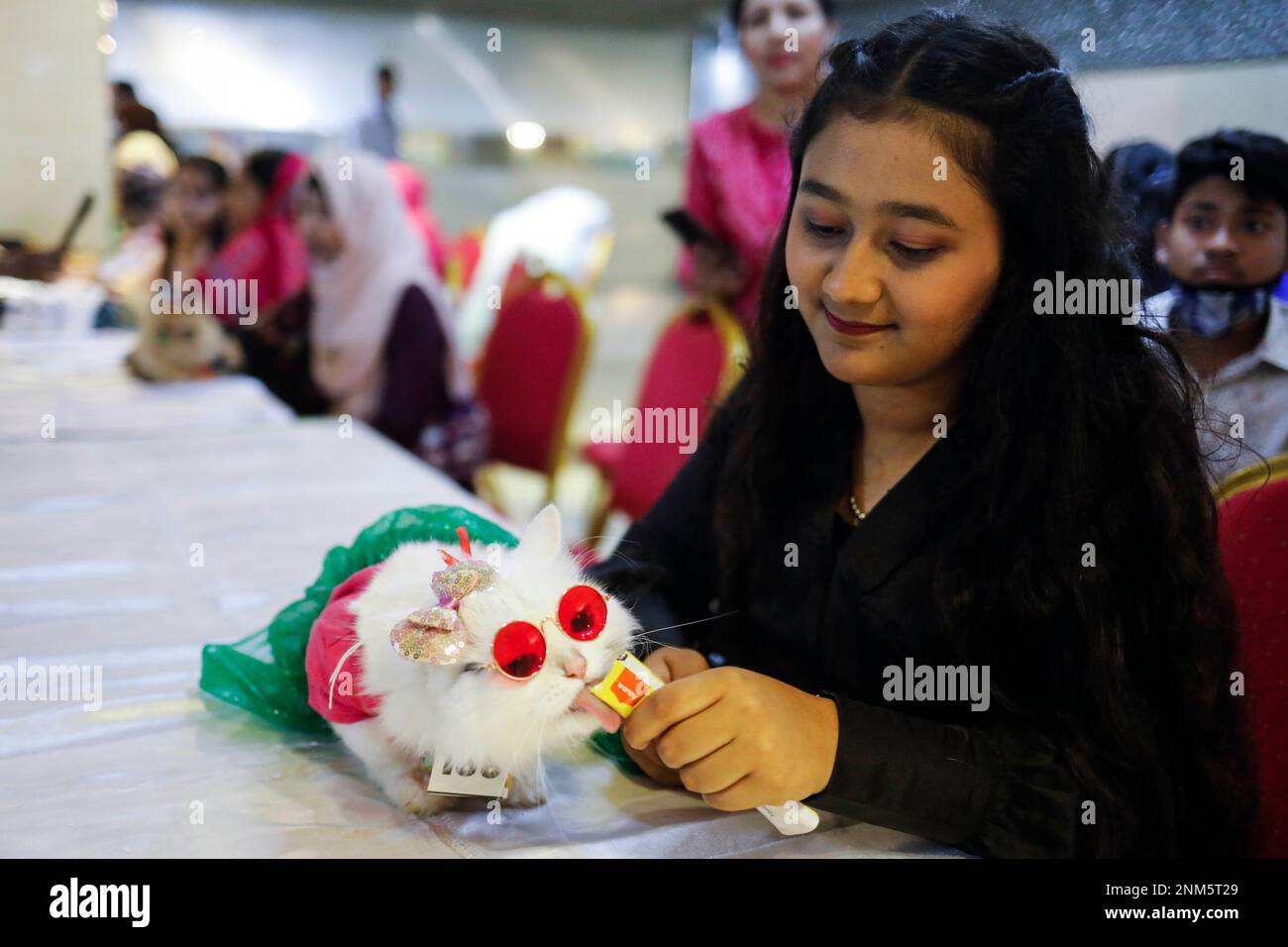 Dhaka, Bangladesh. 24th Feb, 2023. A cat ramp show was held at Jamuna ...