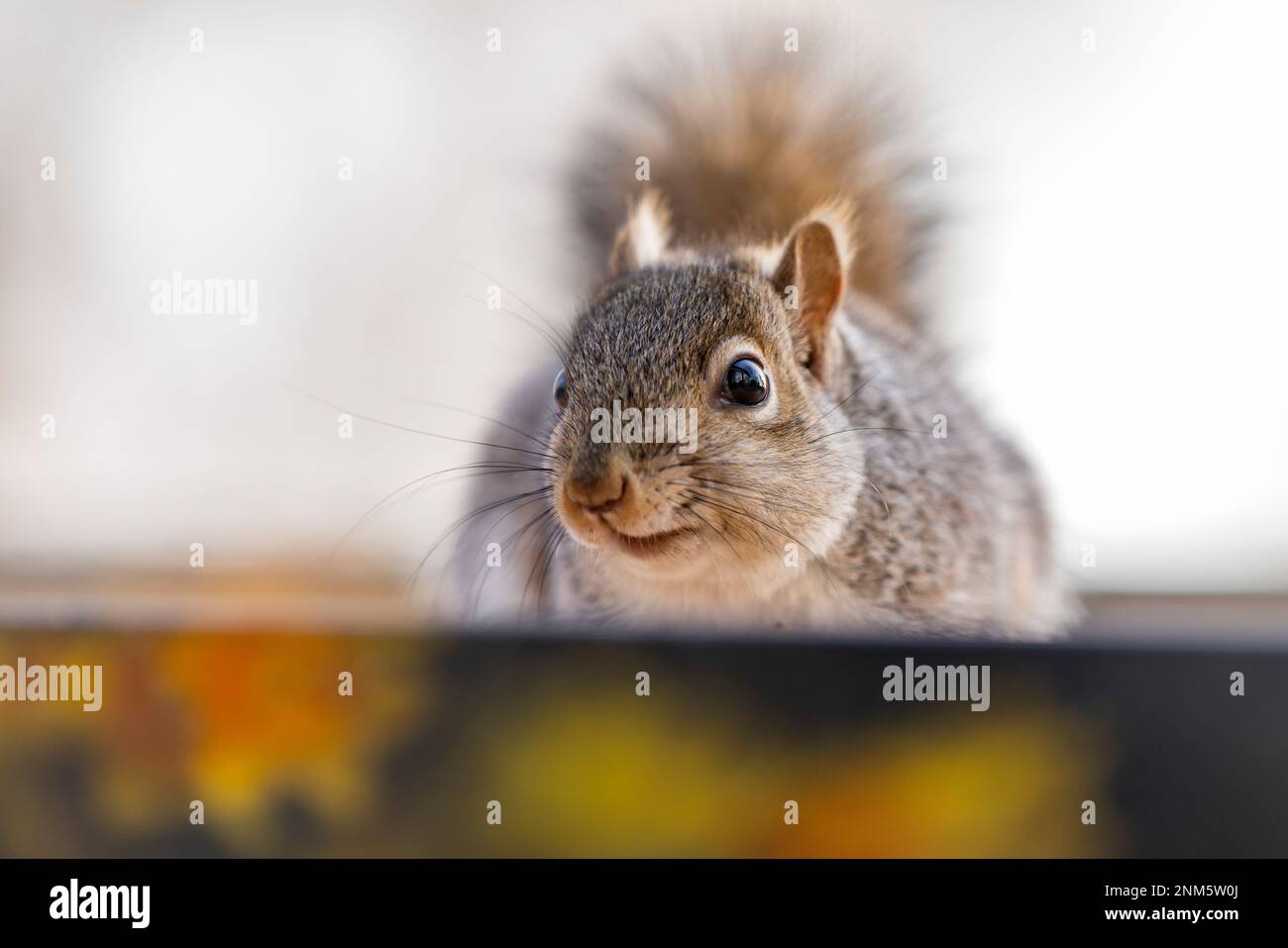 76084 steam locomotive hi-res stock photography and images - Alamy