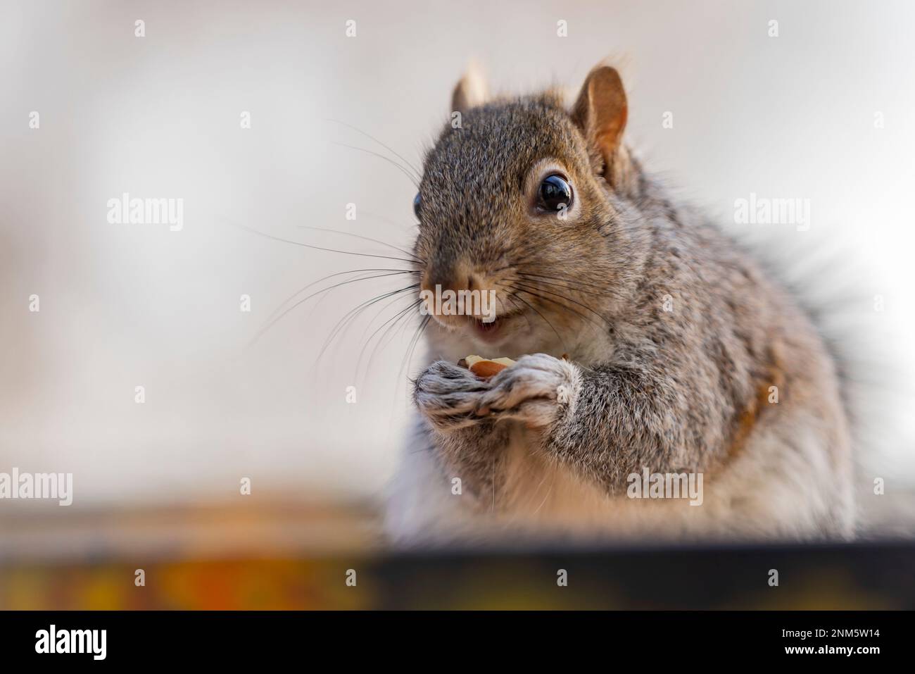 Kelling Heath Holiday Park, North Norfolk, Holt, England UK Stock Photo ...