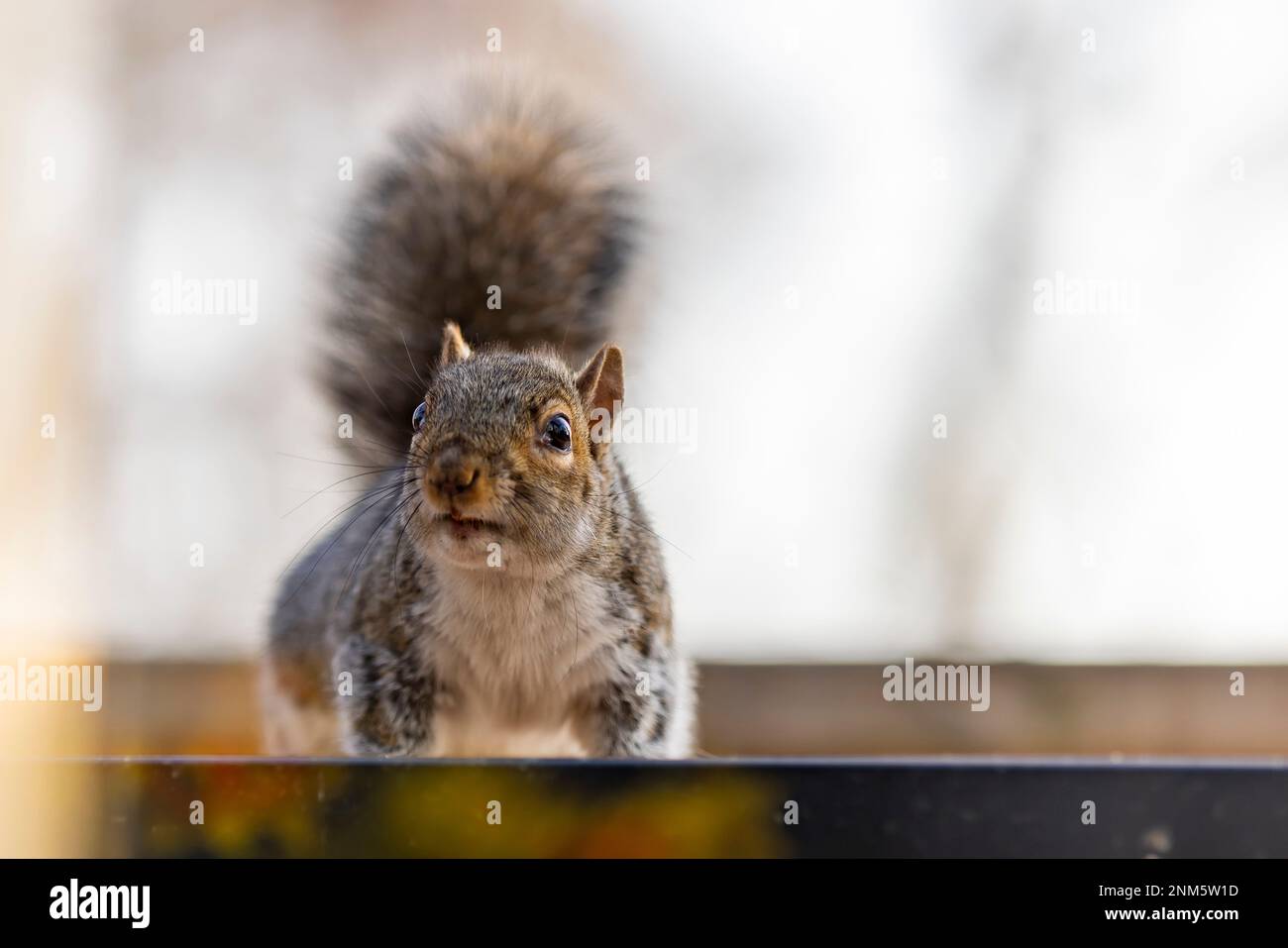 Kelling Heath Holiday Park, North Norfolk, Holt, England UK Stock Photo ...