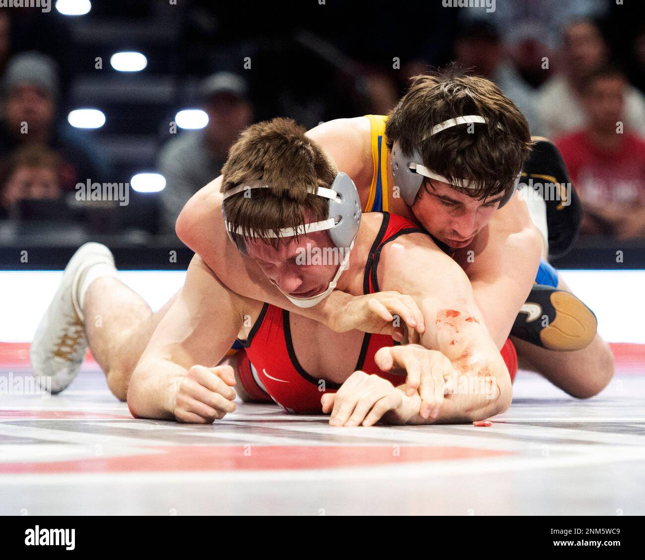 December 12, 2022: Pitt Panthers Nino Bonaccosi (top) wrestles The Ohio ...