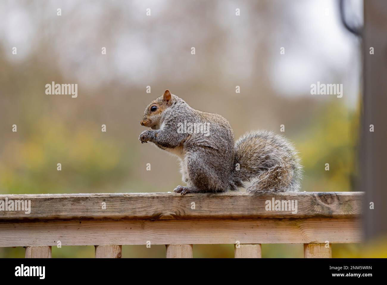 76084 steam locomotive hi-res stock photography and images - Alamy