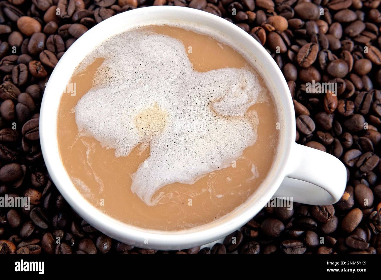 White Cup of Hot Coffee with Milk Foam on Roasted Coffee beans ...