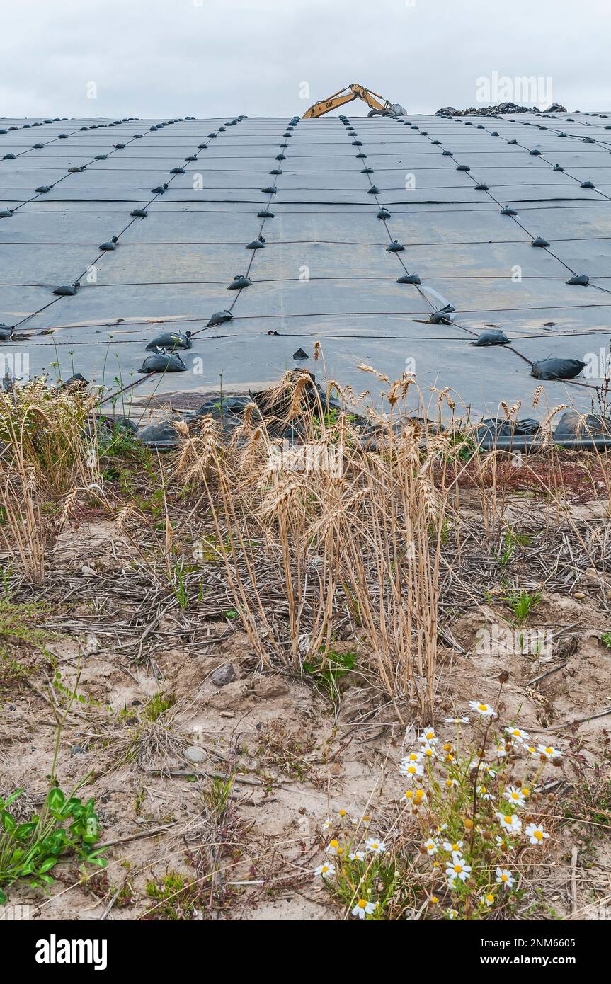 Sheet membranes hi-res stock photography and images - Alamy