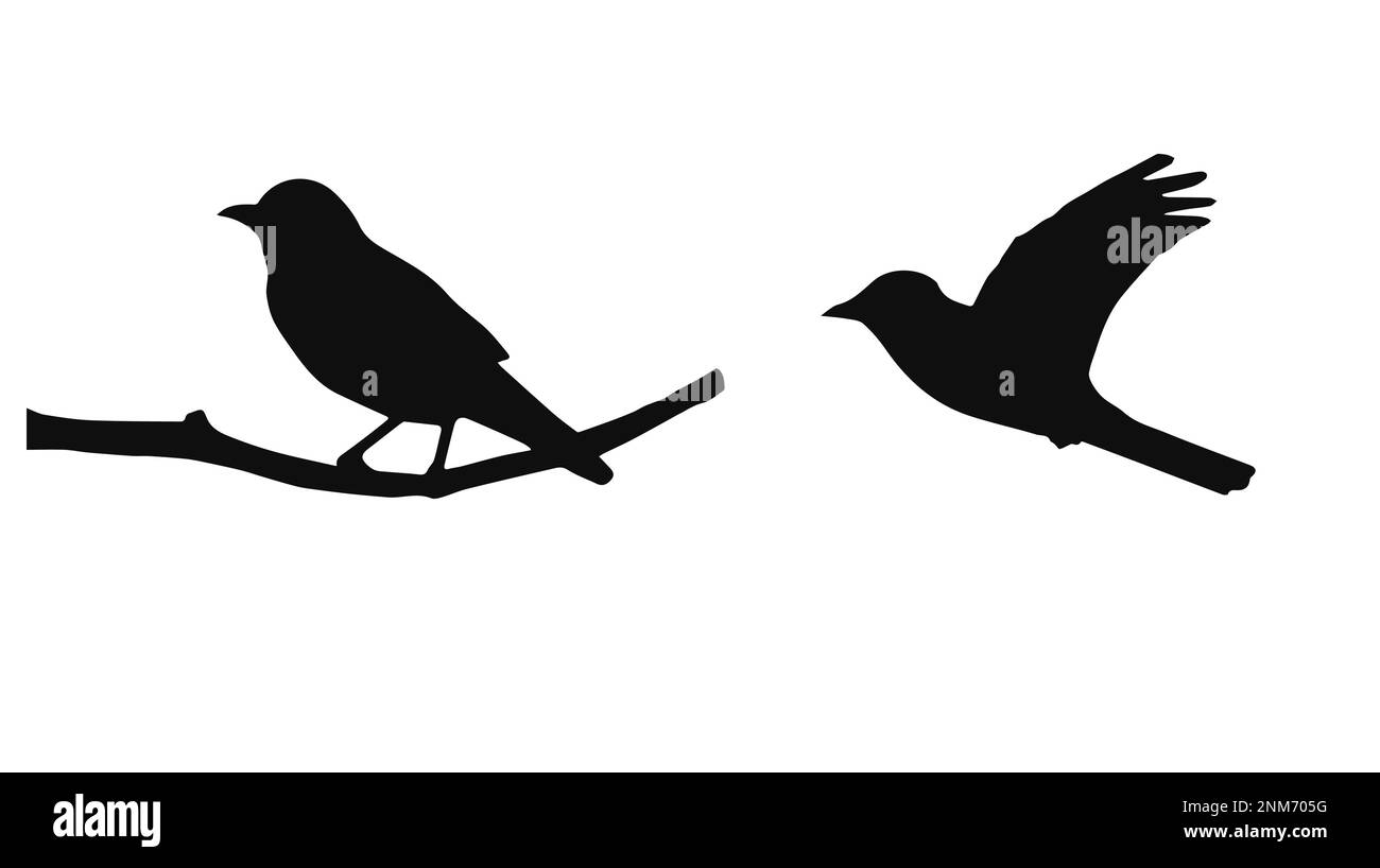 Two Birds On Branch Silhouette
