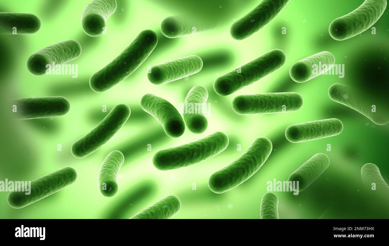 Bacteria. Bacterium. Green color. Prokaryotic microorganisms. 3d ...