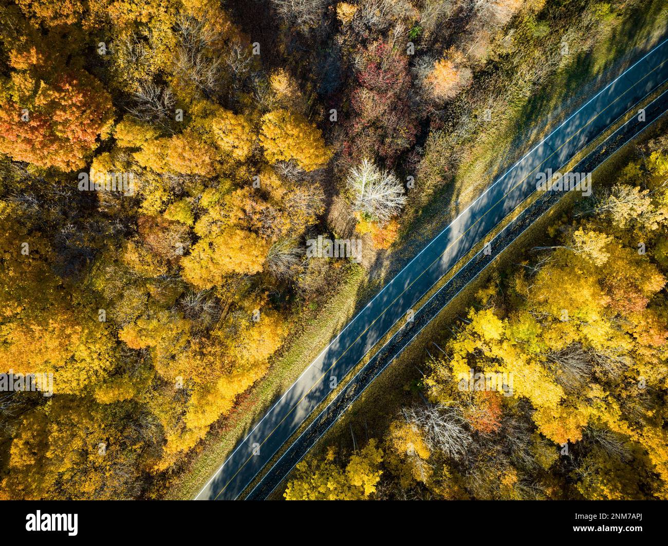 Aerial forest trees mountain road hi-res stock photography and images ...