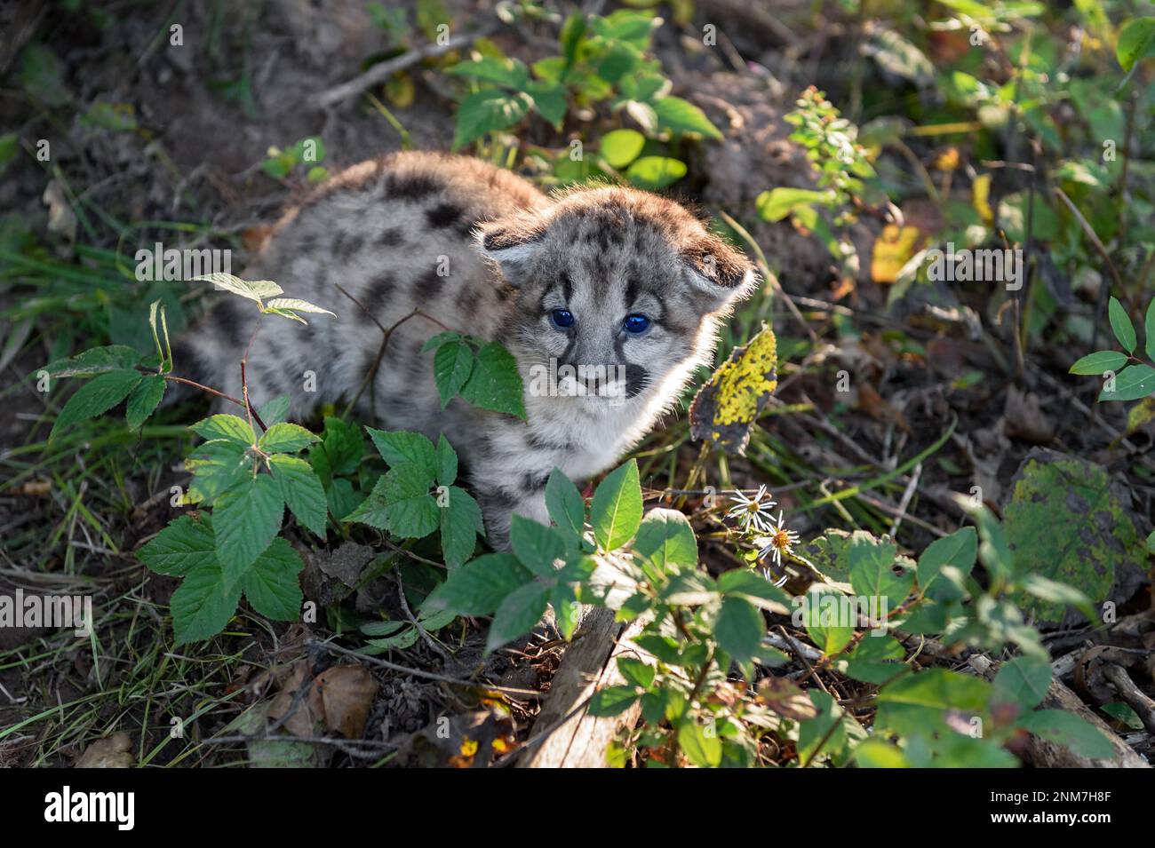 Huddled on ground hi-res stock photography and images - Alamy