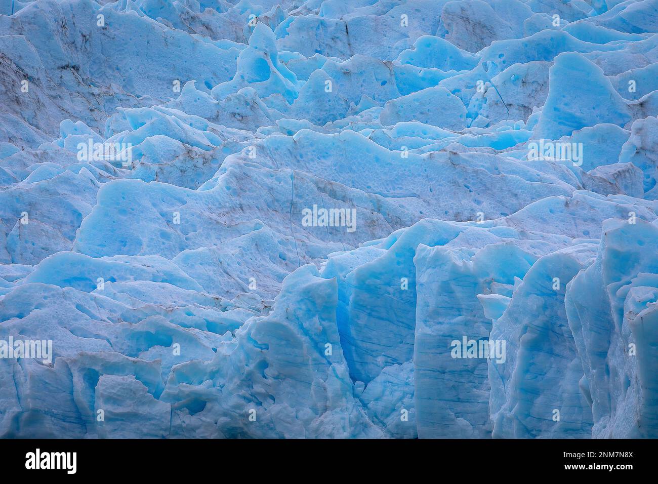 Detail, Grey Glacier, in Grey Lake, Torres del Paine national park ...