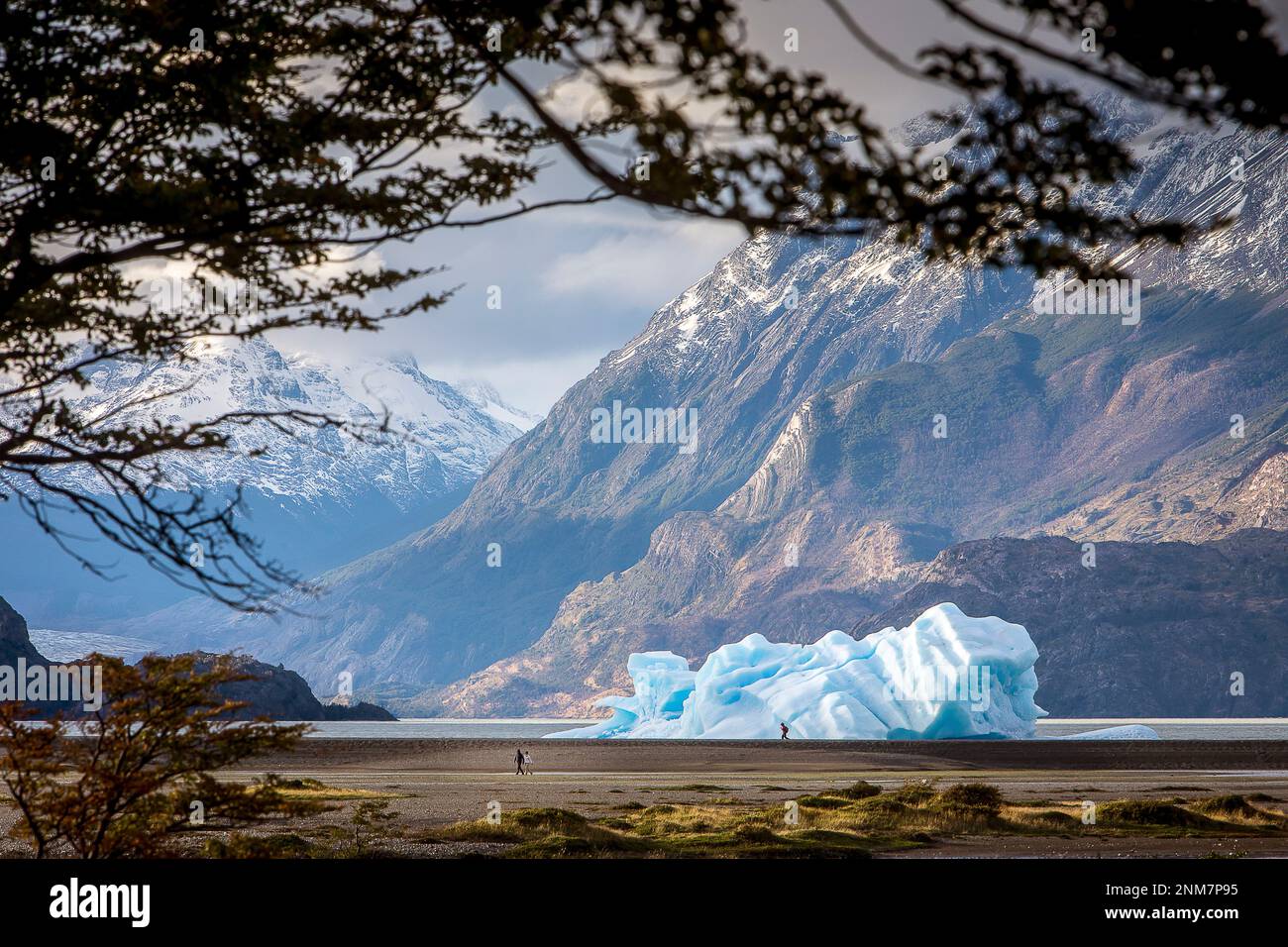 Grey Lake, iceberg detached from Grey Glacier, Torres del Paine ...