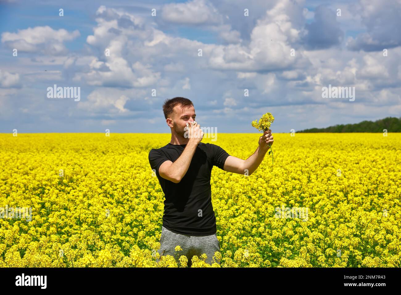 Young man in yellow canola field blowing his nose and suffering from ...