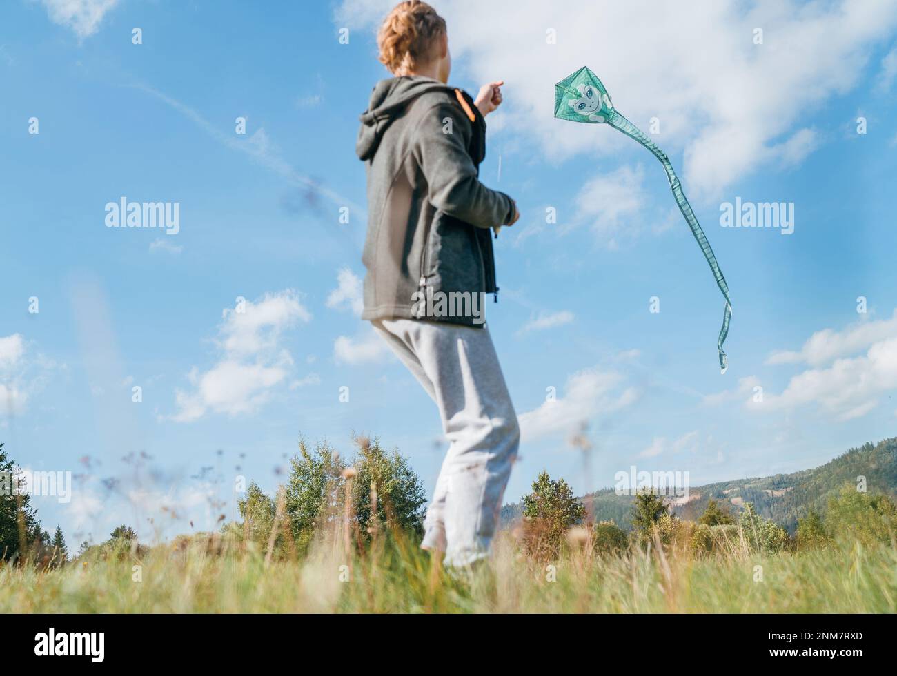 Children flying kite in meadow outside hi-res stock photography and ...