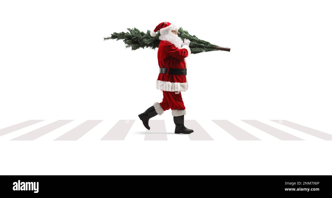 Full length profile shot of santa claus on a pedestrian crossing ...