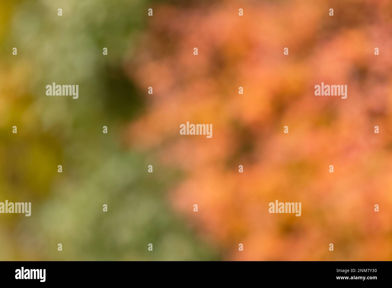 Authentic orange natural colors with a green and orange tones from a ...