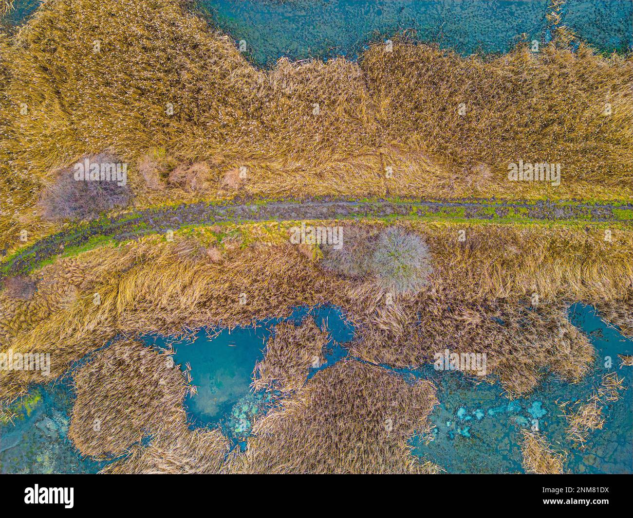 An aerial shot of the landscape with small lake surrounded by trees and ...