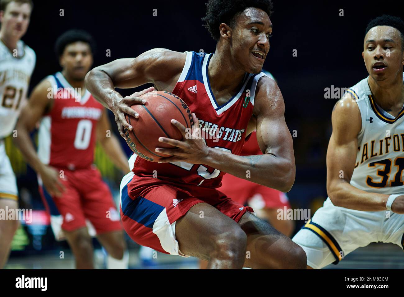 BERKELEY, CA - NOVEMBER 28: Fresno State Bulldogs guard Leo Colimerio (23) pulls in a rebound ...