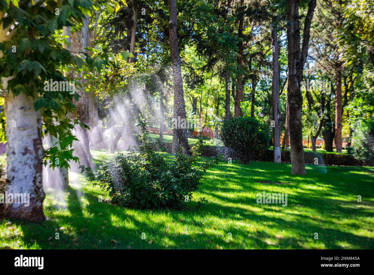 Early autumn in Vake Park in city's downtown of Tbilisi, Georgia Stock ...