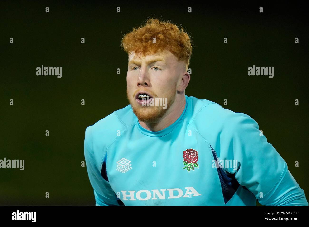 Lewis chessum hi-res stock photography and images - Alamy