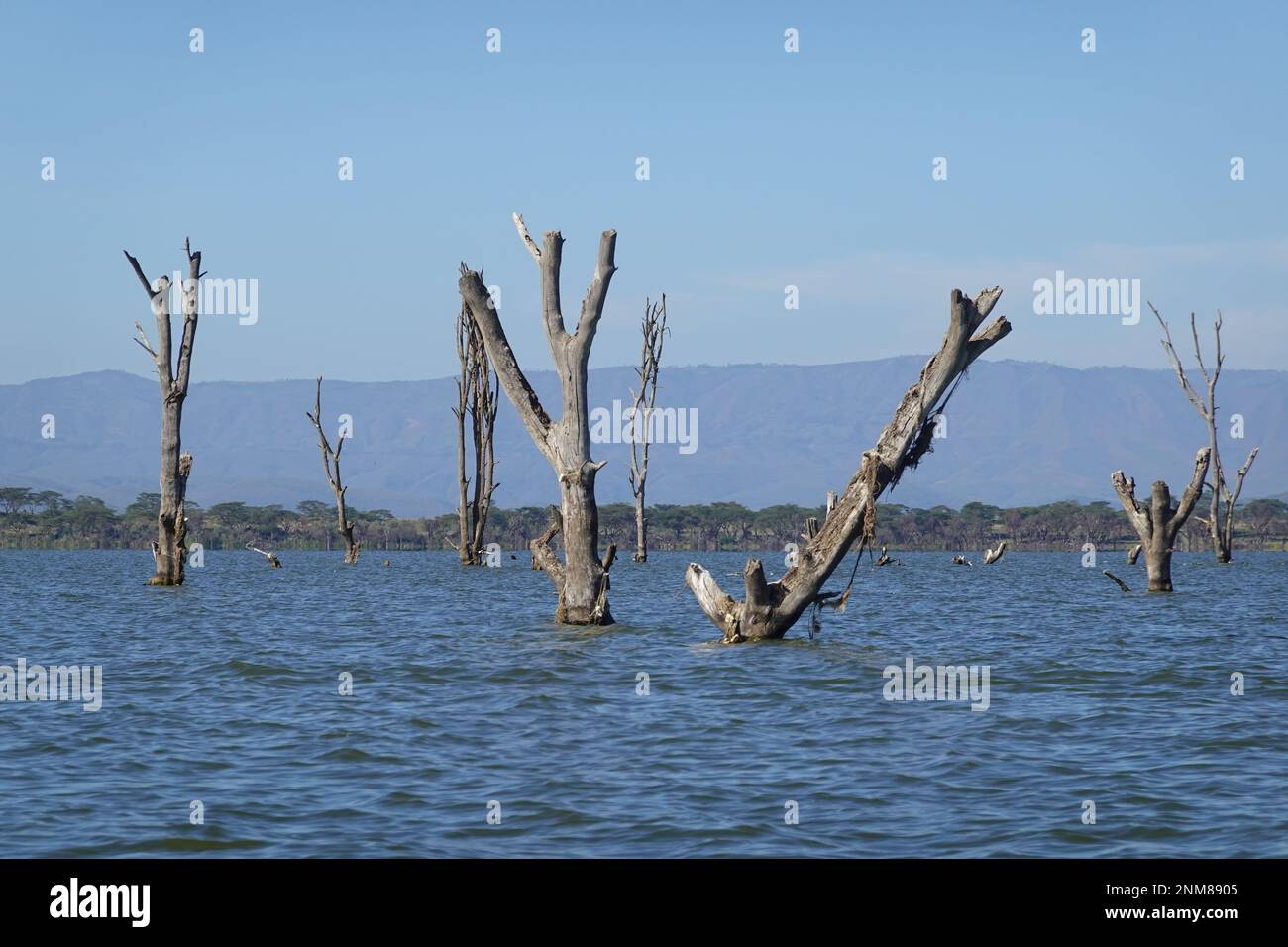 Boat view of Crescent Island, Lake Naivasha, Kenya Stock Photo - Alamy