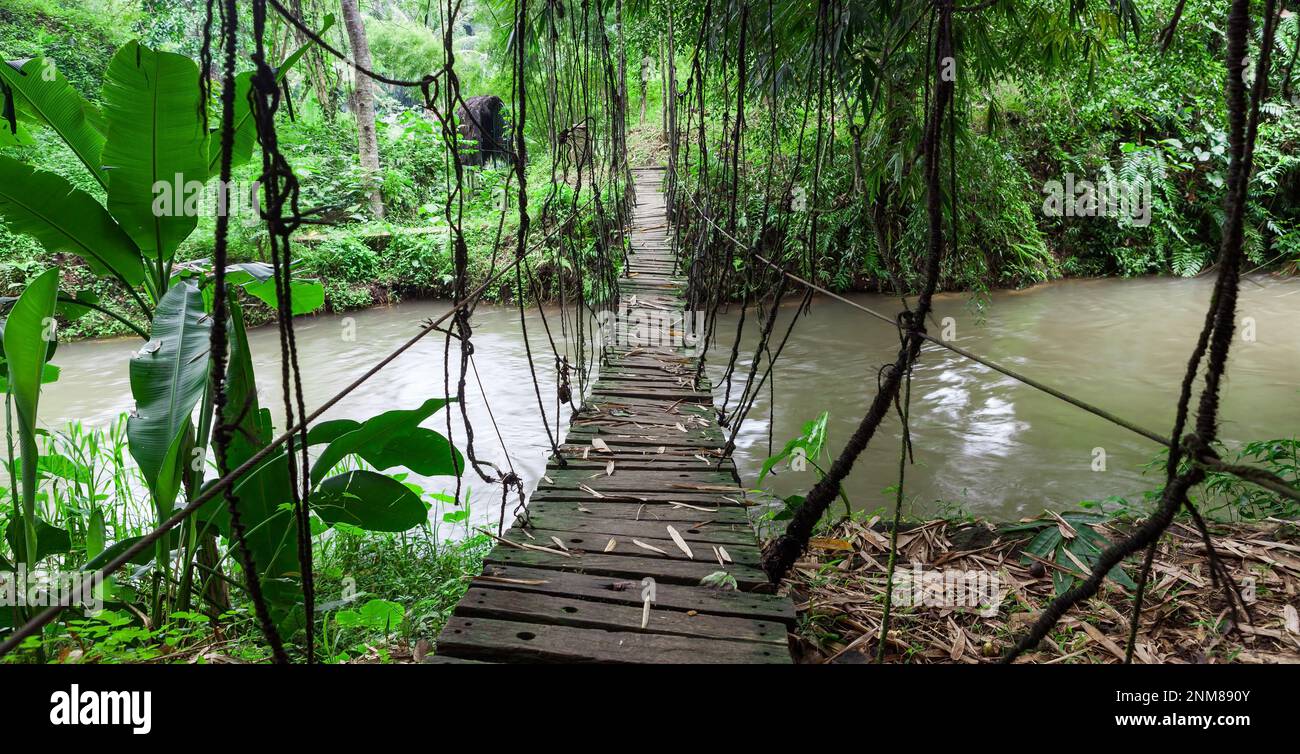 Hanging wooden bridge in lush greens in the jungle. Bali island ...