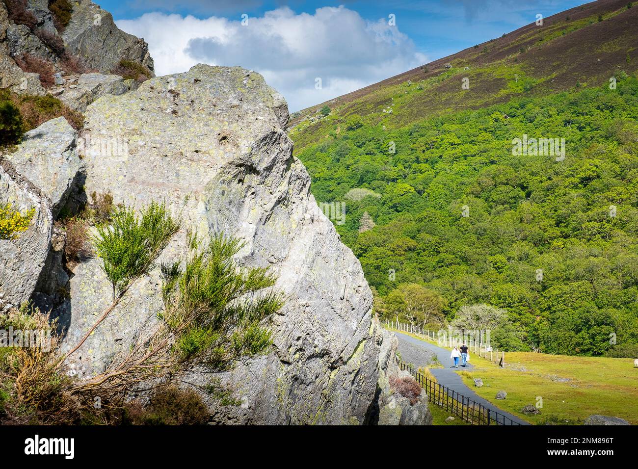 Elan Valley, close Visitor Centre, Powys, Wales Stock Photo - Alamy