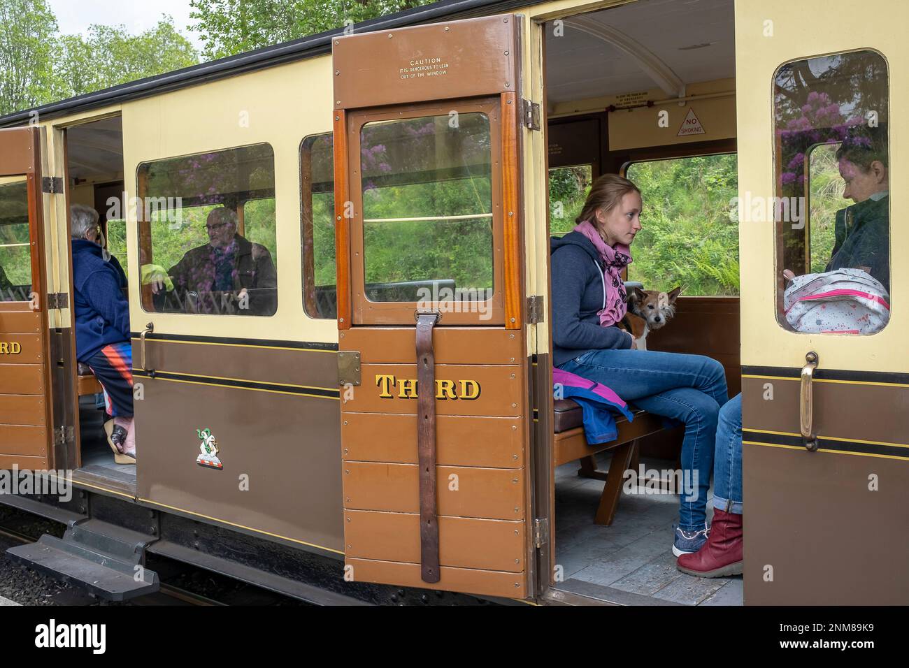 Vale of rheidol railway station hi-res stock photography and images - Alamy