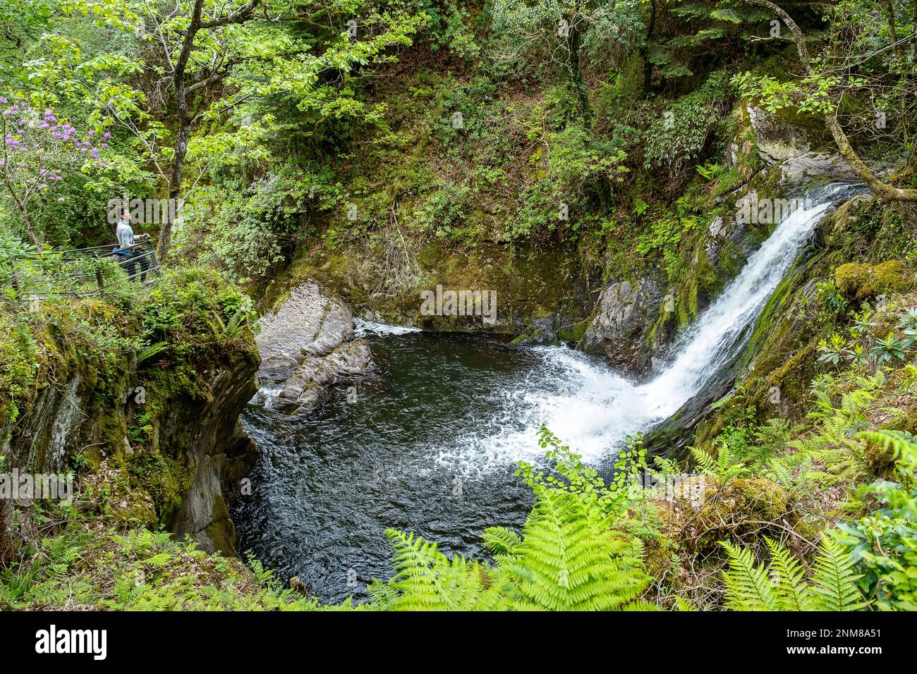 Mynach Falls, Devil's Bridge, long way, Pontarfynach, Wales Stock Photo ...