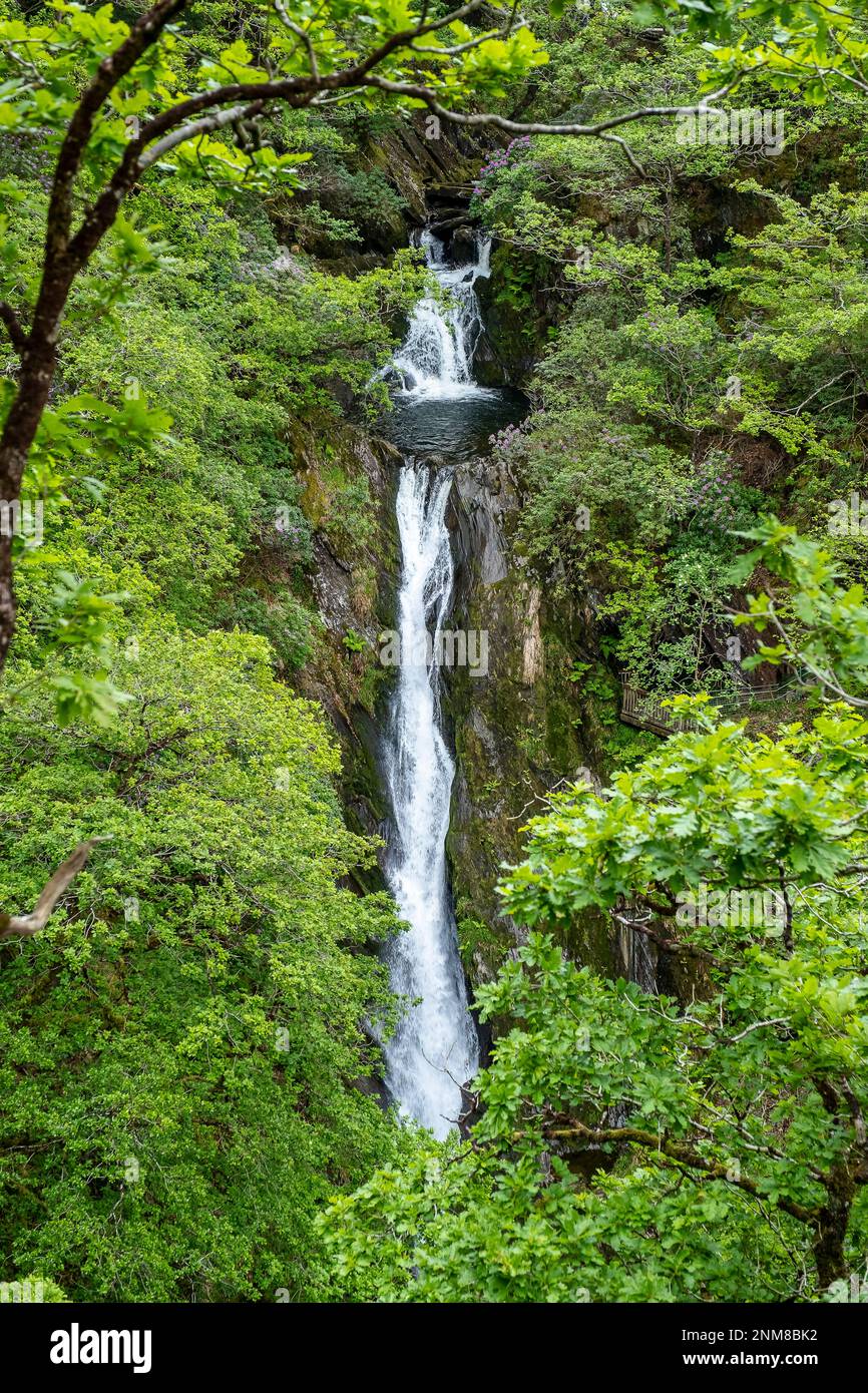 Mynach Falls, Devil's Bridge, long way, Pontarfynach, Wales Stock Photo ...