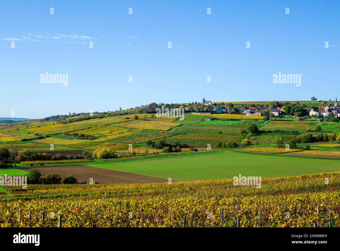 Rhenish region hi-res stock photography and images - Alamy