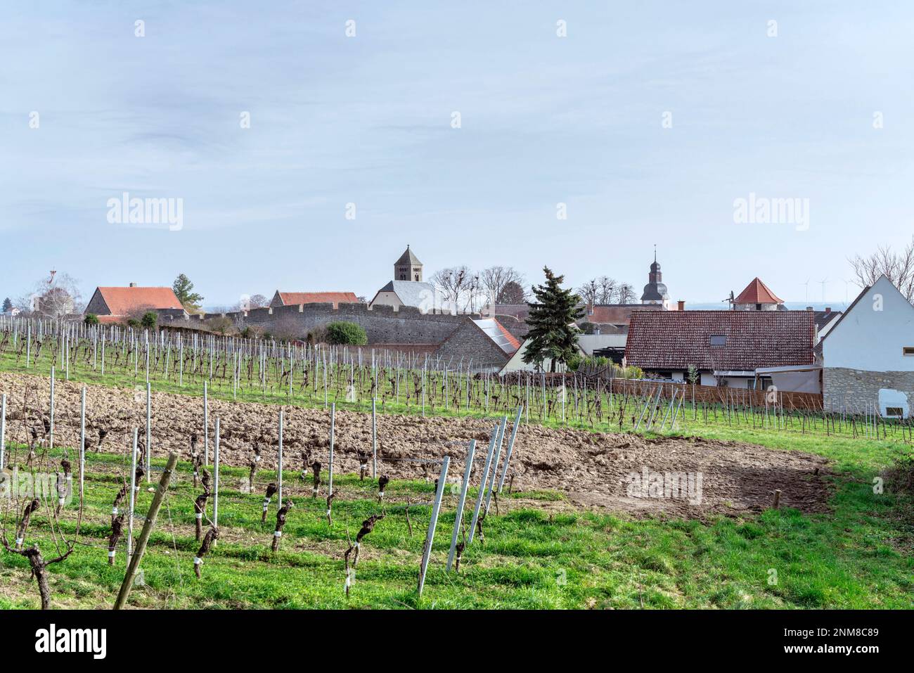 The municipality of Flörsheim-Dalsheim near Worms in Rhenish Hesse is ...