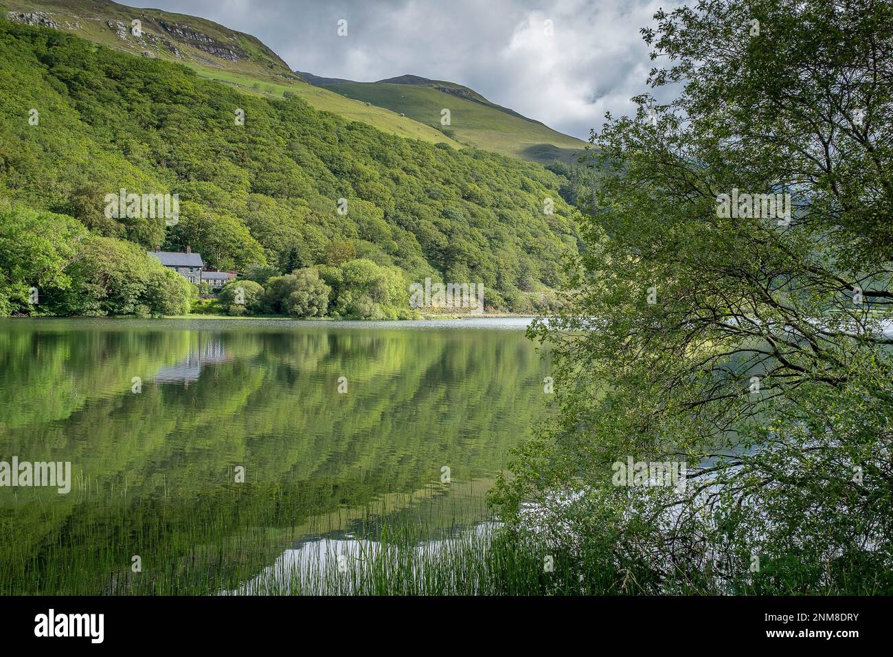 Tal-y-Llyn Lake, Gwynedd, Snowdonia, Wales Stock Photo - Alamy