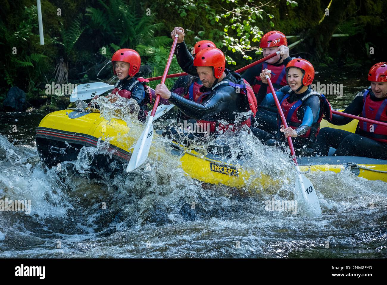 Bala group hi-res stock photography and images - Alamy