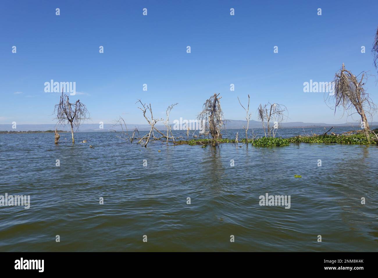 Boat view of Crescent Island, Lake Naivasha, Kenya Stock Photo - Alamy