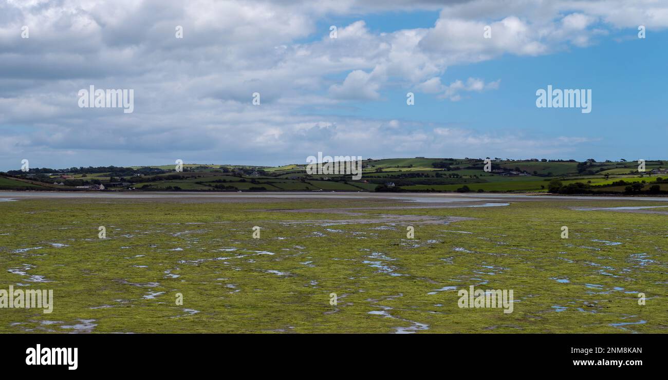 Open seabed after low tide, swamp area. Green hilly landscape on a ...