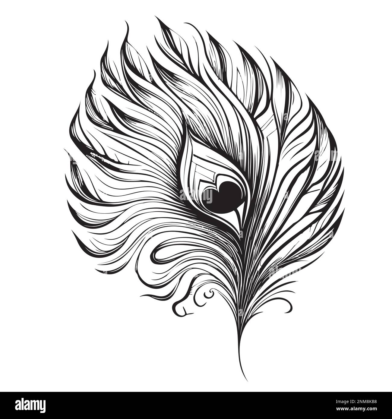 Peacock Feather Hand Drawn Sketch Vector Illustration Birds Stock