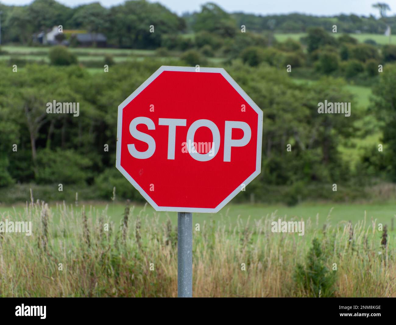 One sign with a white word stop on a red background. Road sign. Red and ...